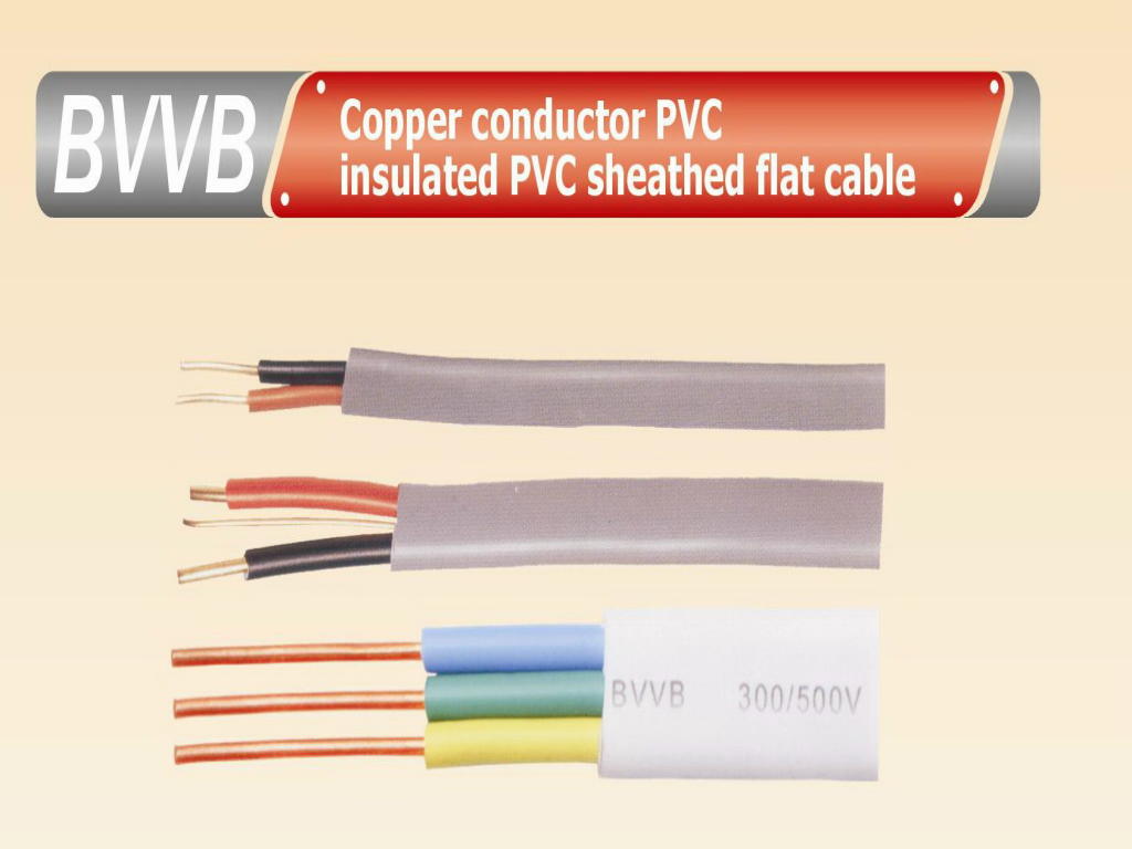 BVVB Cable By Ningbo Hubaishi Cable Manufacturing Co., Ltd, China